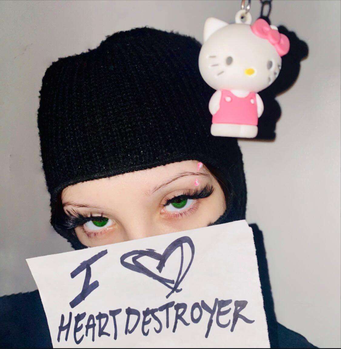 An outstanding musical conundrum, heartdestroyer strikes a nerve with the undeniably hypnotic ...
